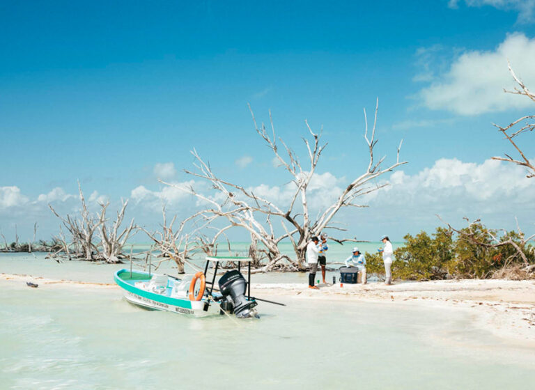 ABOUT - Kay Fly Fishing Lodge